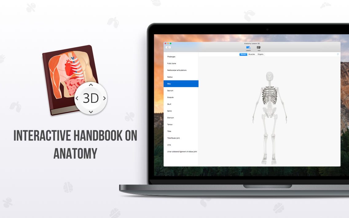 Anatomy Lesson 3D: Human Body for iOS (iPhone) - Free Download at AppPure