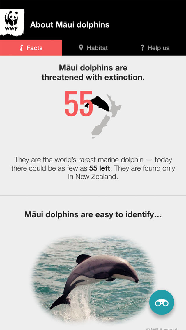 Maui Dolphin for iOS (iPhone) - Free Download at AppPure