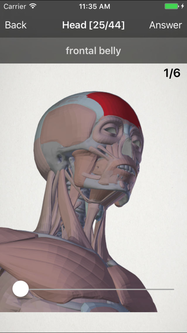 basic anatomy for all [muscles] for iOS (iPhone) Latest Version at $4. ...
