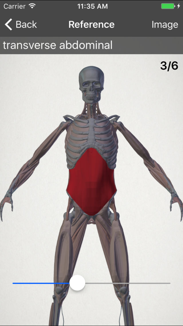 basic anatomy for all [muscles] for iOS (iPhone) Latest Version at $4. ...
