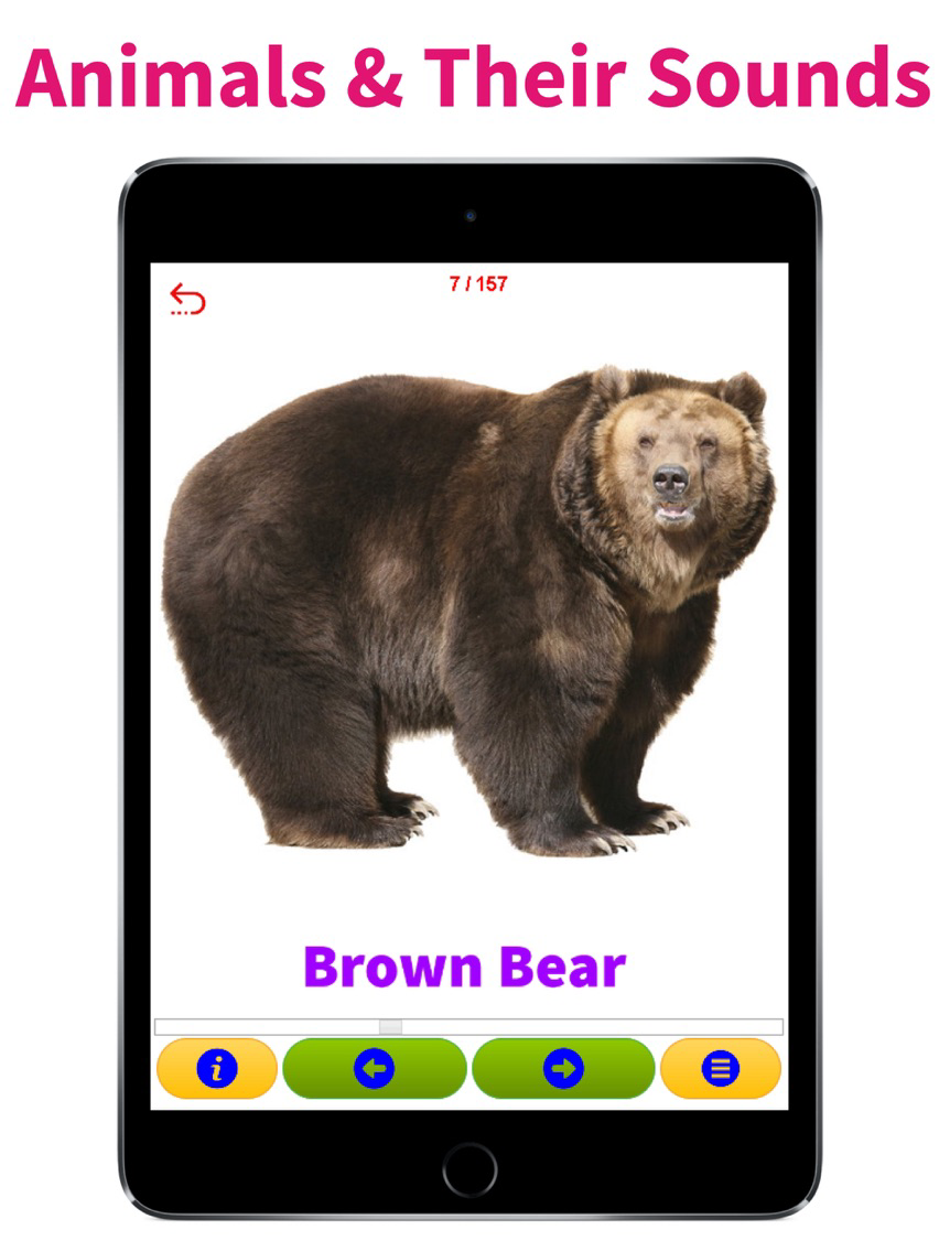 Animals & Animal Sounds Kids Toddlers Zoo App US-P para iOS (iPhone ...