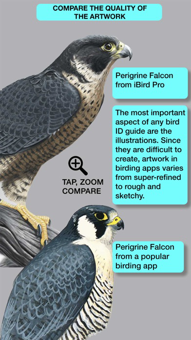 iBird Pro Guide to Birds for iOS (iPhone/iPad) - Free Download at AppPure