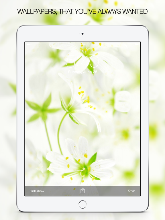 White Backgrounds & White Wallpapers for iOS (iPhone/iPad/iPod touch ...