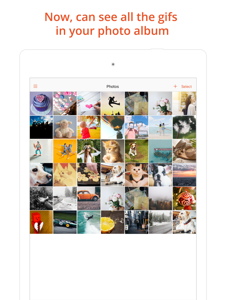 GIF Viewer Pro - GIF Album for iOS (iPhone/iPad) Latest Version at $1. ...