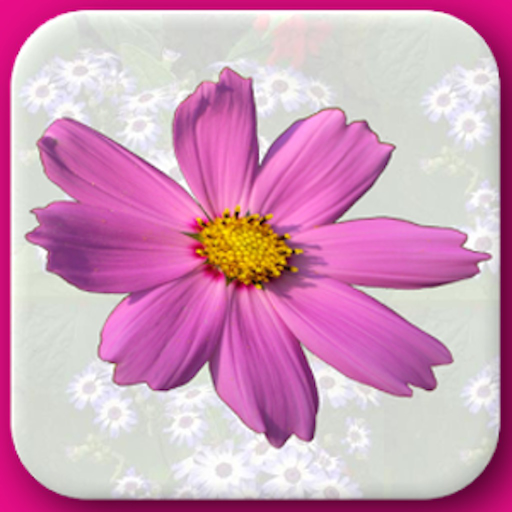 Flowers Flash Cards - Fruits And Vegetables Name Learning Game for your ...