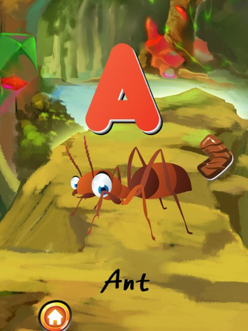 ABC Insects World Flashcards For Kids: Preschool and Kindergarten ...