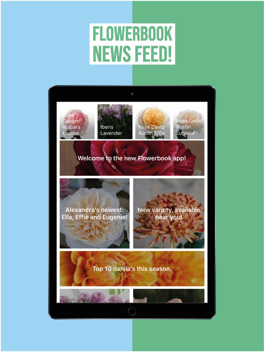 FlowerBook for iOS (iPhone/iPad) - Free Download at AppPure