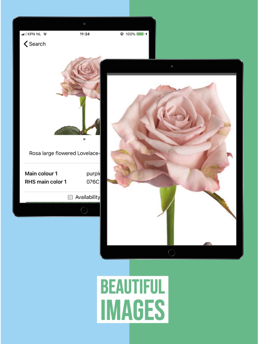 FlowerBook for iOS (iPhone/iPad) - Free Download at AppPure