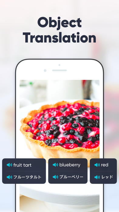 UDictionary Translator for iOS (iPhone/iPad/iPod touch) - Free Download ...