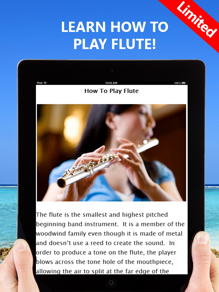 How To Play The Flute - Flute Music, Notes, Sheet, Chords, and ...
