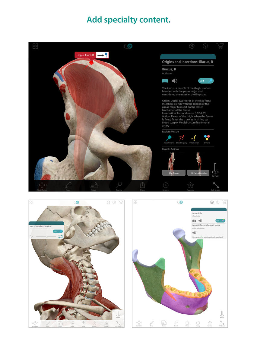 Human Anatomy Atlas – 3D Anatomical Model of the Human Body for iOS ...