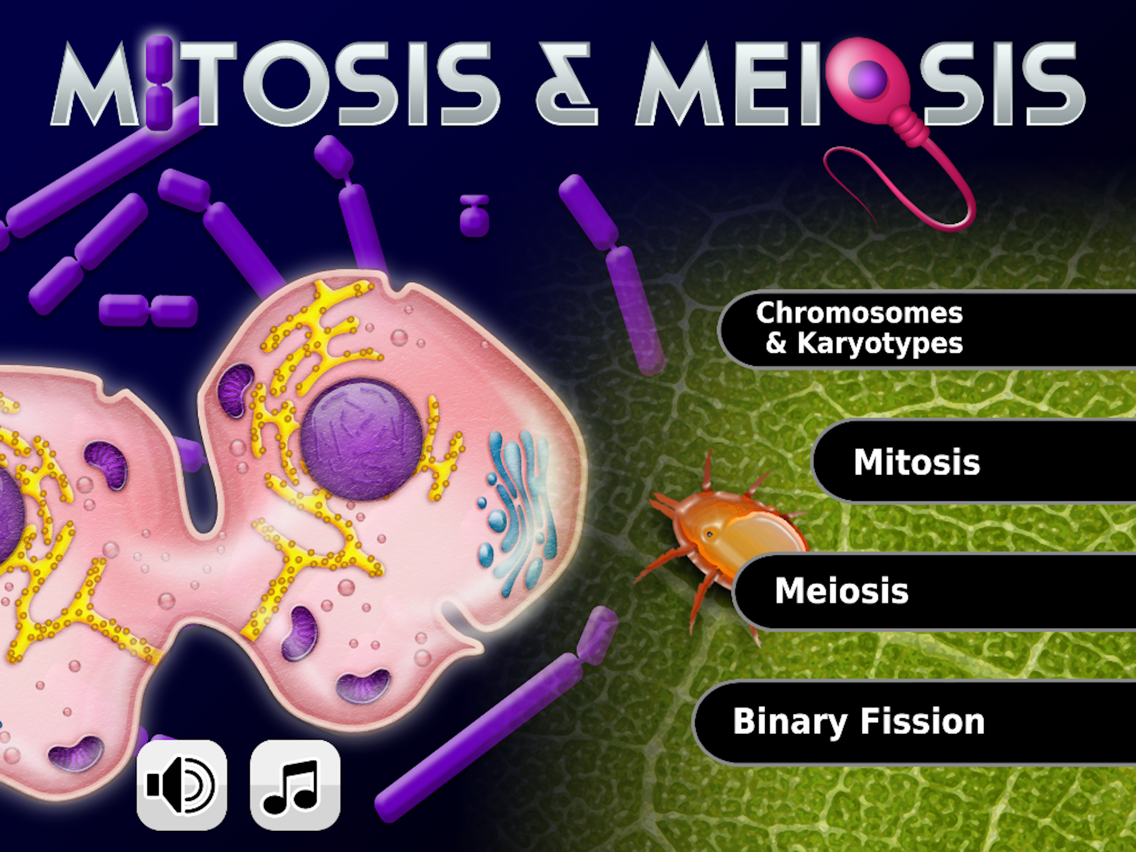 Biology Mitosis & Meiosis Lite for iOS (iPhone/iPad) - Free Download at ...