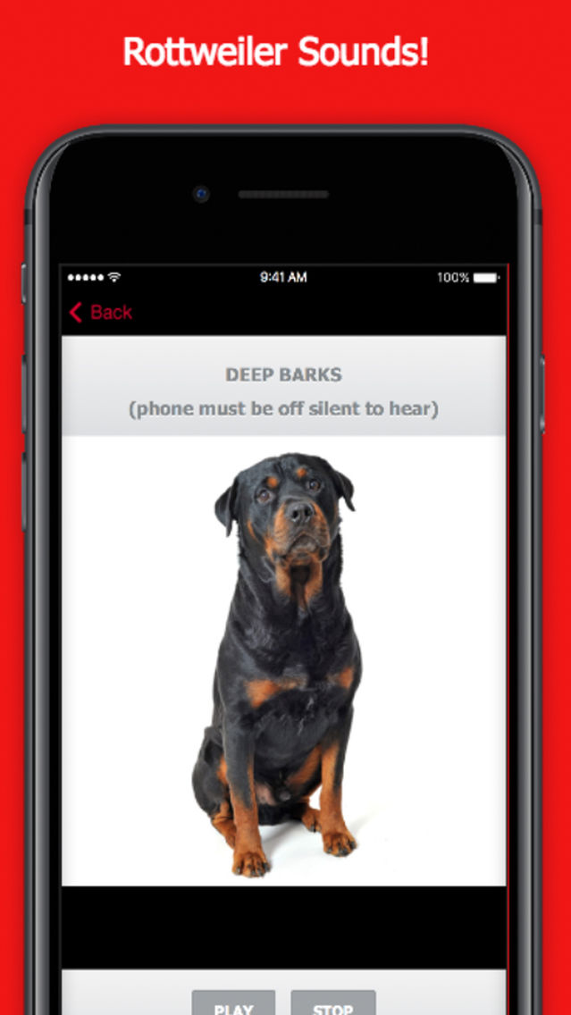 Rottweiler Dog Sounds & Barking App for iOS (iPhone/iPad) Latest ...