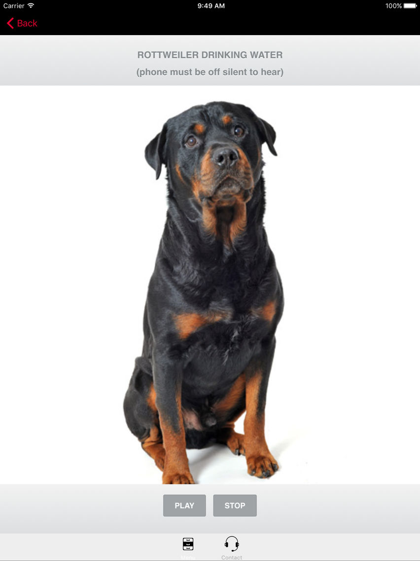 Rottweiler Dog Sounds & Barking App for iOS (iPhone/iPad) Latest ...