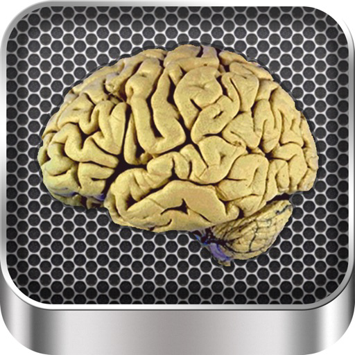 Brain Anatomy for iOS (iPhone/iPad/iPod touch) - Free Download at AppPure