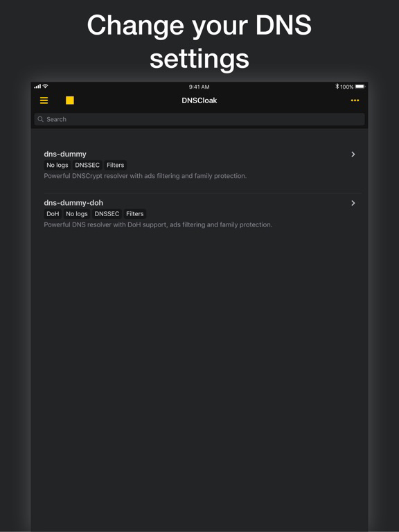 DNSCloak • Secure DNS client for iOS (iPhone/iPad/iPod touch) - Free ...