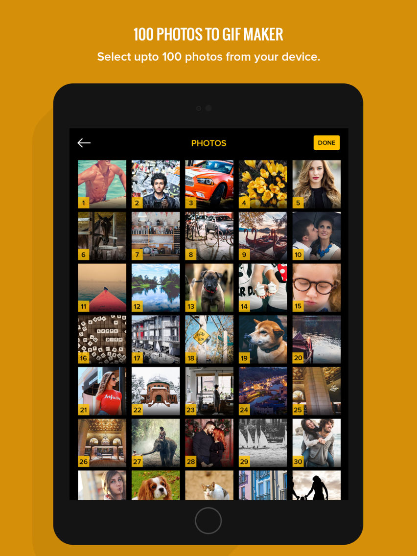 100 Photos to GIF Maker GIFs for iOS (iPhone/iPad) - Free Download at ...