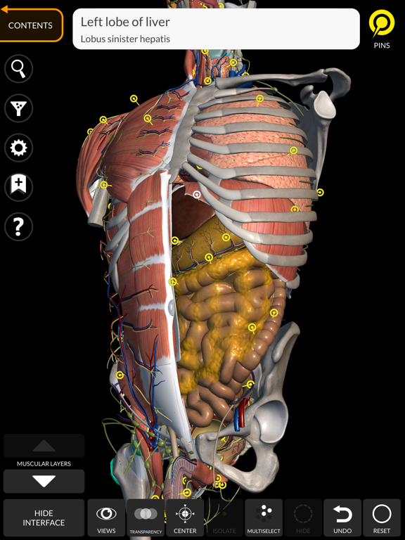 Anatomy 3D Atlas for iOS (iPhone/iPad) - Free Download at AppPure
