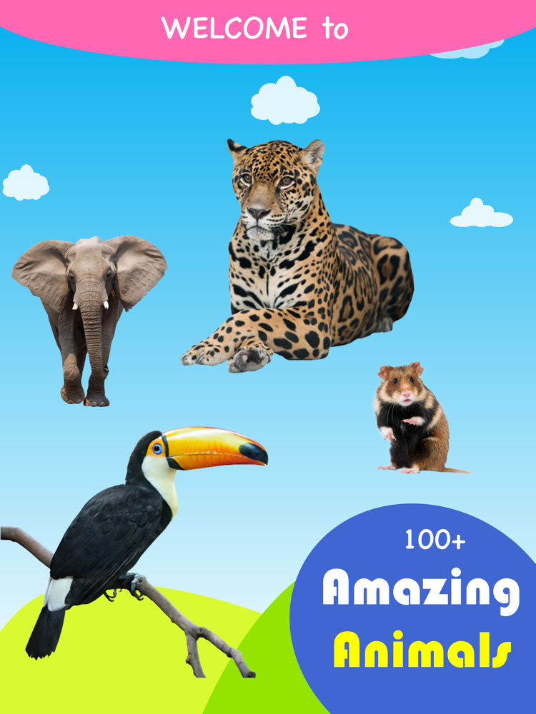 Smartkins Animals Fun Learning Educational Flashcards With Interactive ...