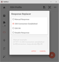 NetMod VPN Client for PC Windows 5.2.1 Download