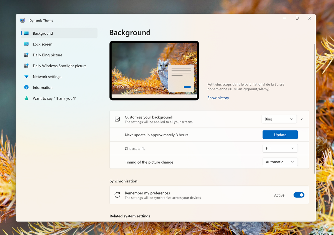 Dynamic Theme For Pc Windows 1 7 103 0 Download