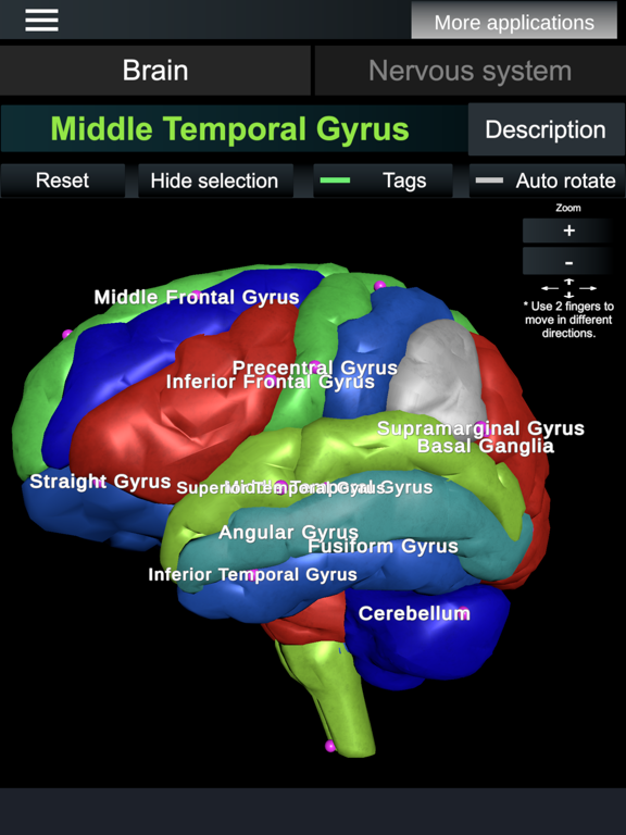 Brain and nerves (Anatomy) for iOS (iPhone/iPad) - Free Download at AppPure