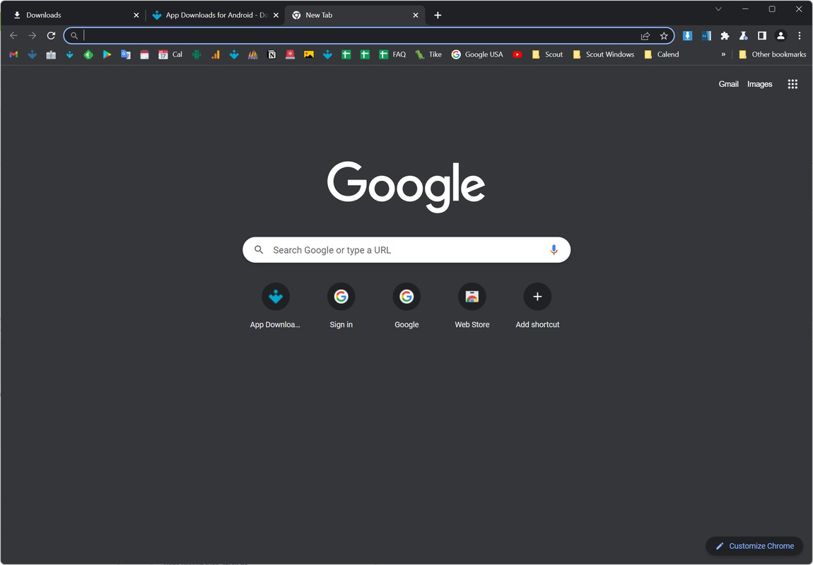 Google Chrome Dev for PC Windows 150.0.7828.2 Download