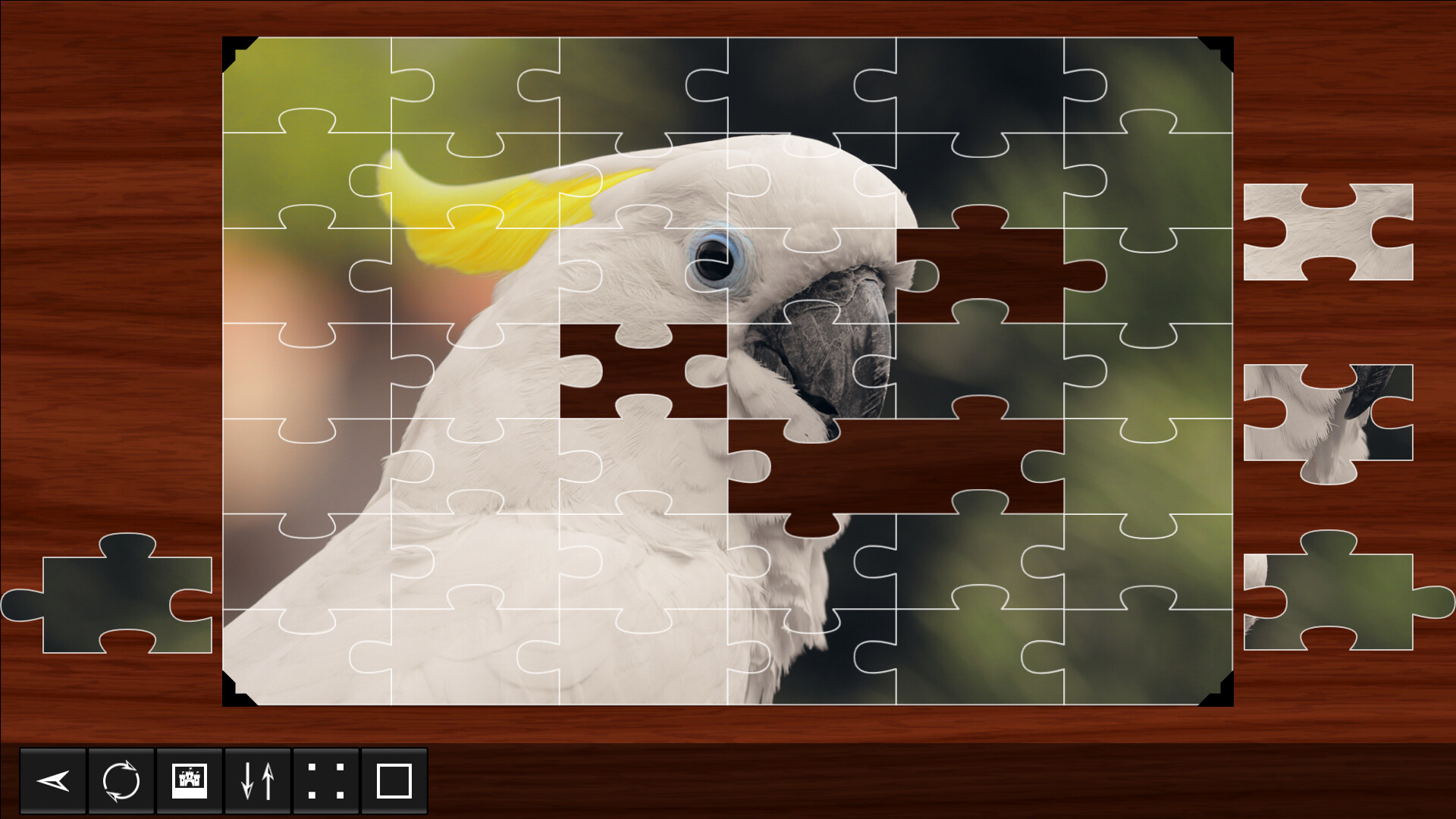 Jigsaw Puzzle World - Birds for PC Windows Download