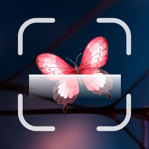 InsectID Identify Bugs&Spiders for iOS (iPhone/iPad/iPod touch) - Free ...