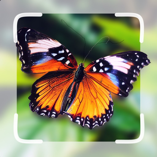 Insect Identifier: Bug Spider for iOS (iPhone/iPod touch) - Free ...