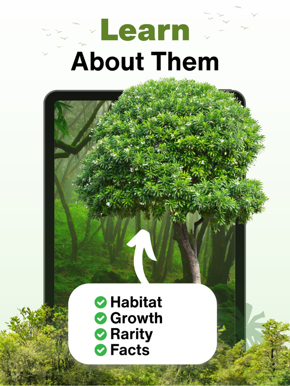 Tree Identifier - AI Scanner for iOS (iPhone/iPad) - Free Download at ...