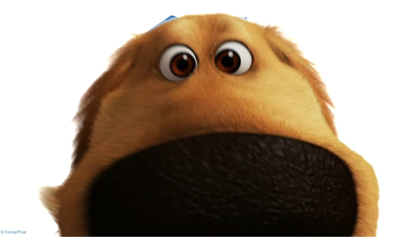 UP Screensaver for PC Windows Download