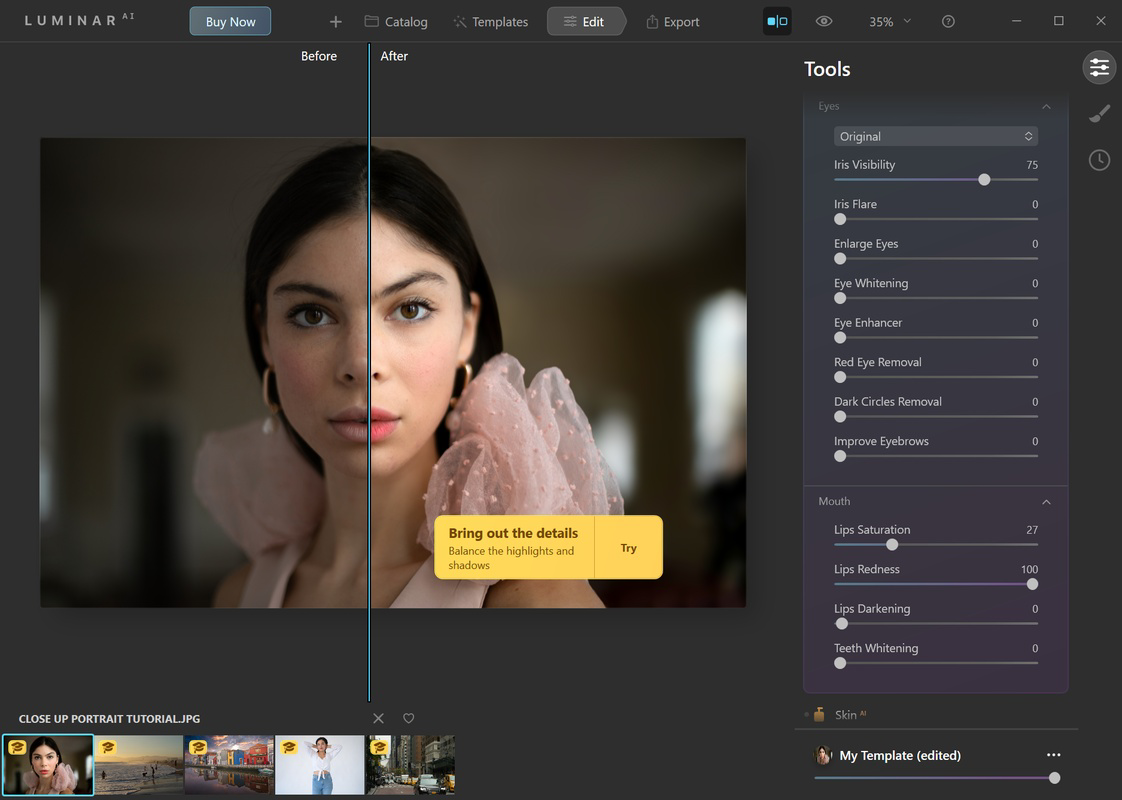 Luminar AI for PC Windows 1.5.3 Download