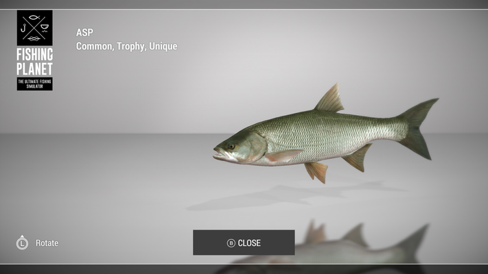 Fishing Planet for PC Windows Download