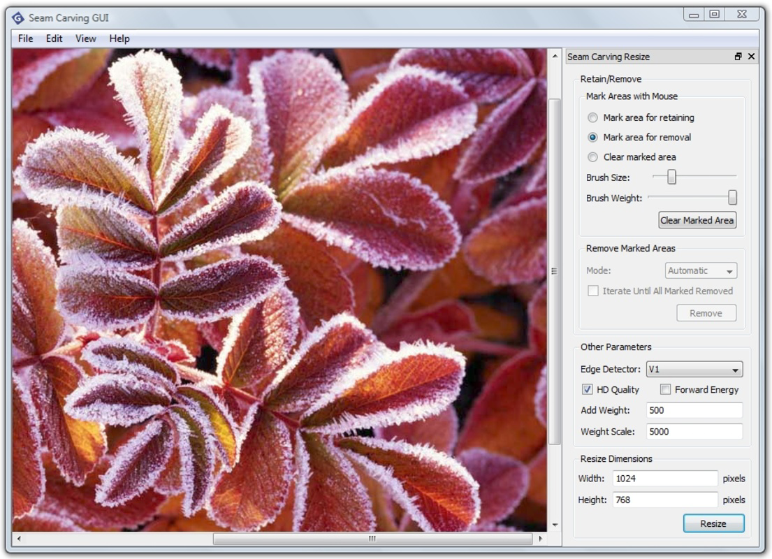 Seam Carving GUI for PC Windows 1.10 Download