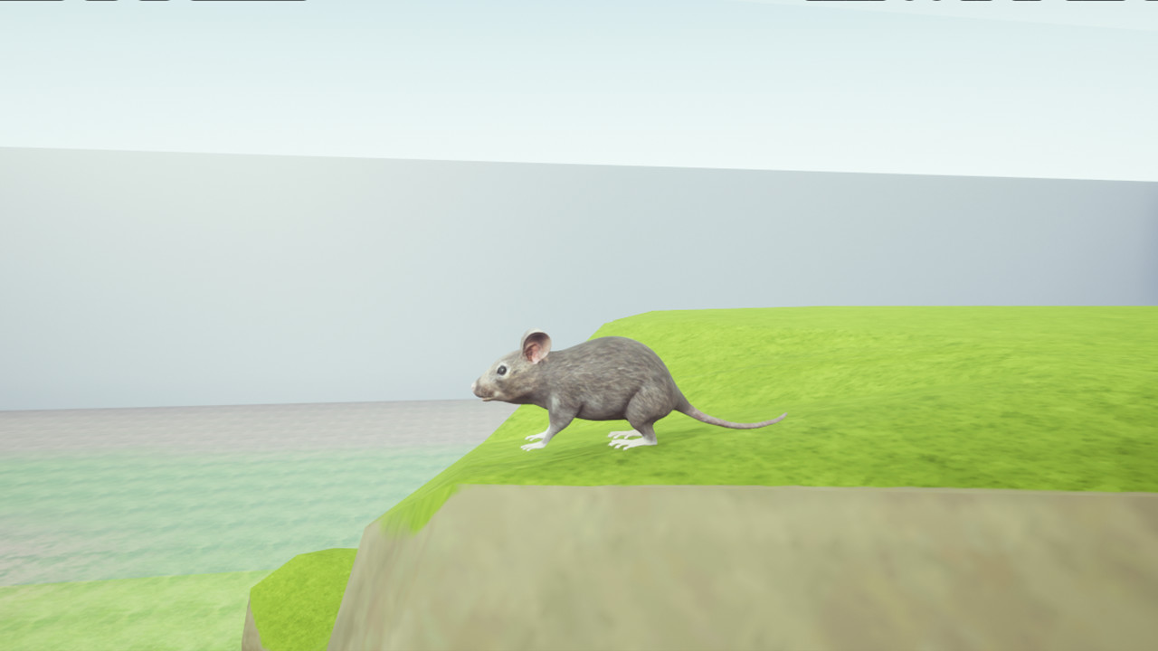 RAT MEMORY for PC Windows Download
