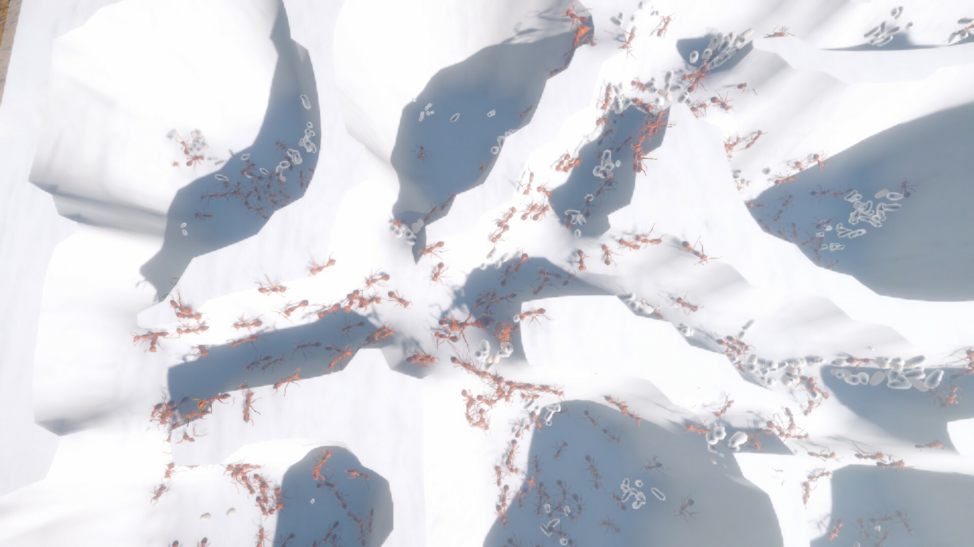 Ant Keeping Simulator for PC Windows Download