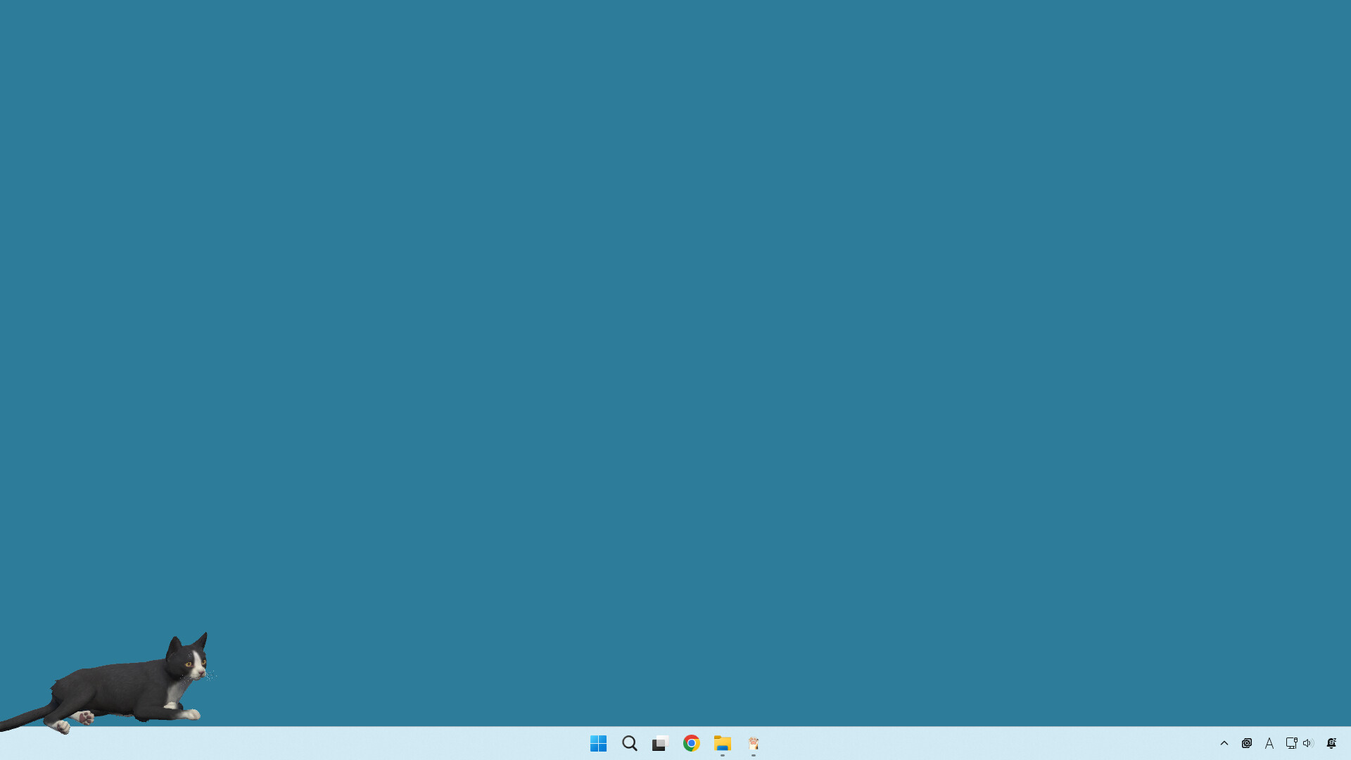 desktop my cat for PC Windows Download
