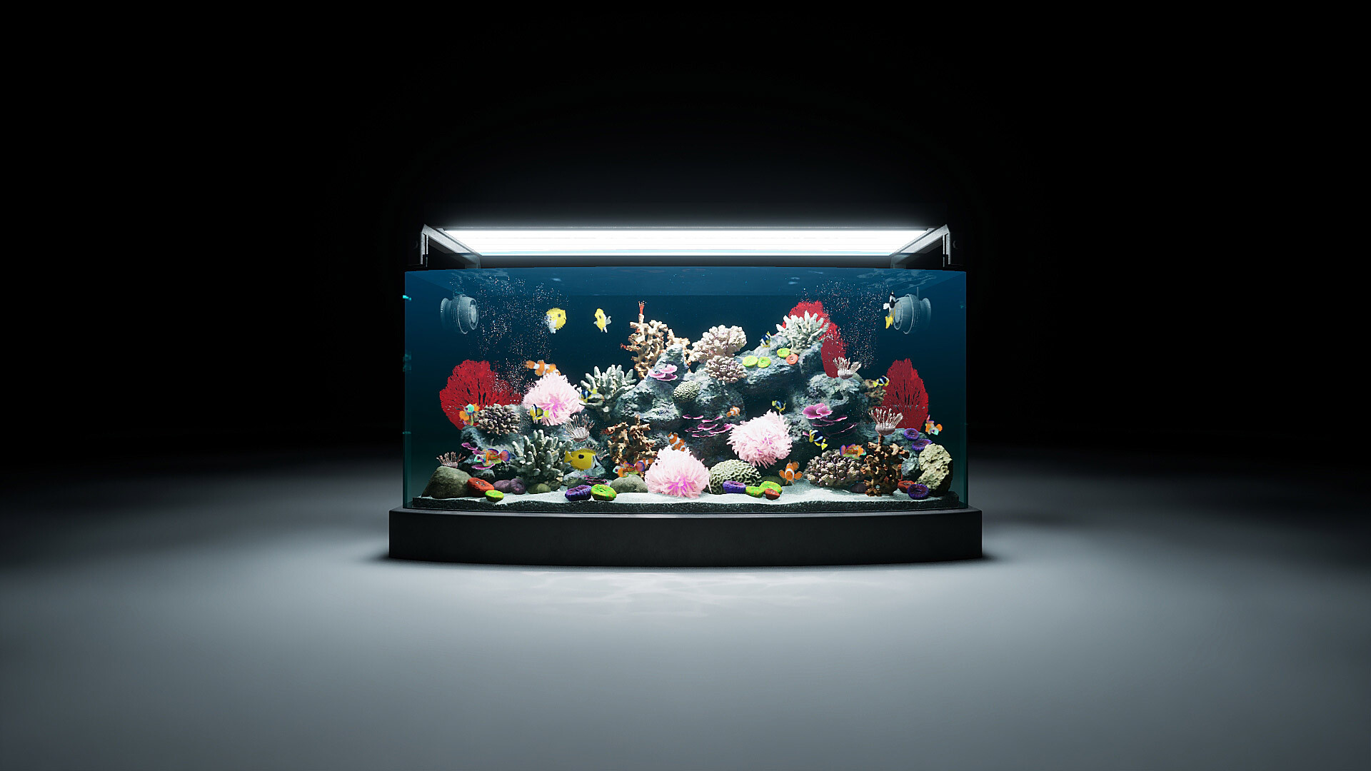 Sea Aquarium Screensaver for PC Windows Download