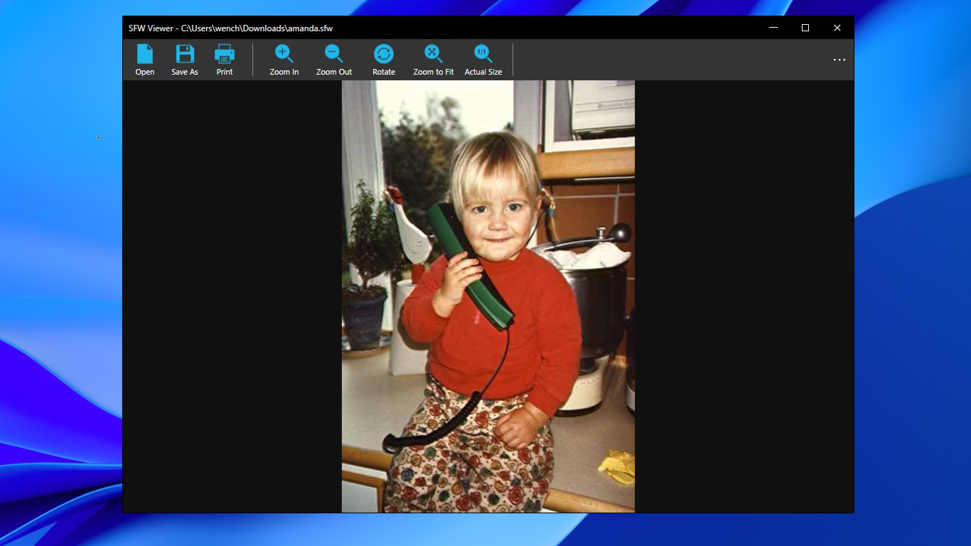 SFW Viewer for PC Windows Download