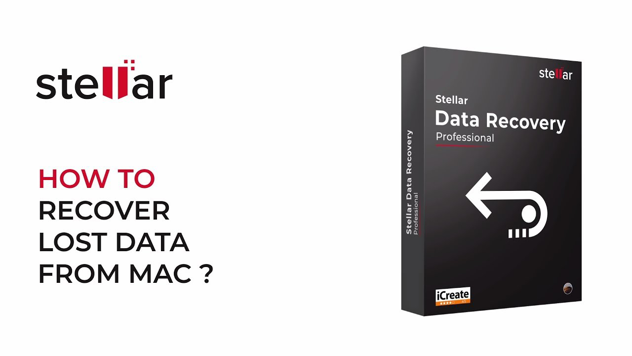 Stellar Data Recovery Professional Mac for PC Windows 12.4.0.0 Download