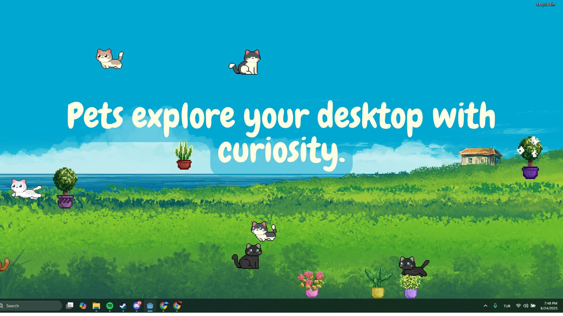 Cuddle Corner for PC Windows Download