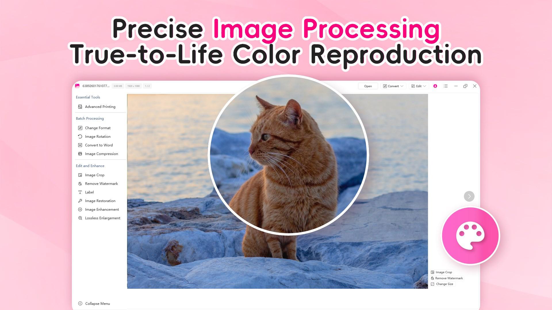 Photo Image Viewer for PC Windows Download