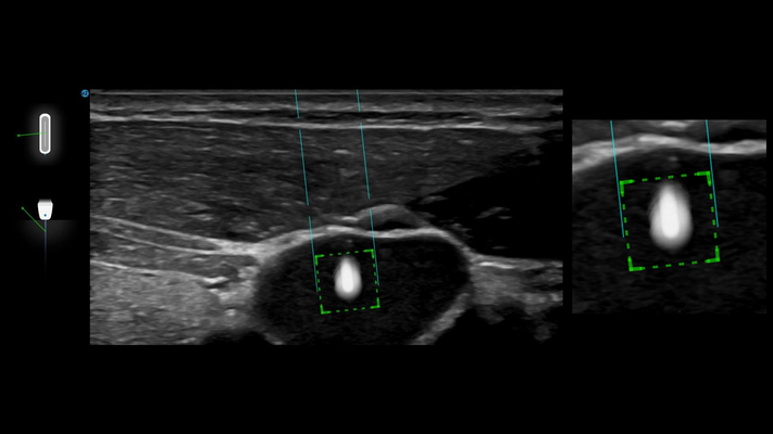 eZSimulator for PC Windows Download