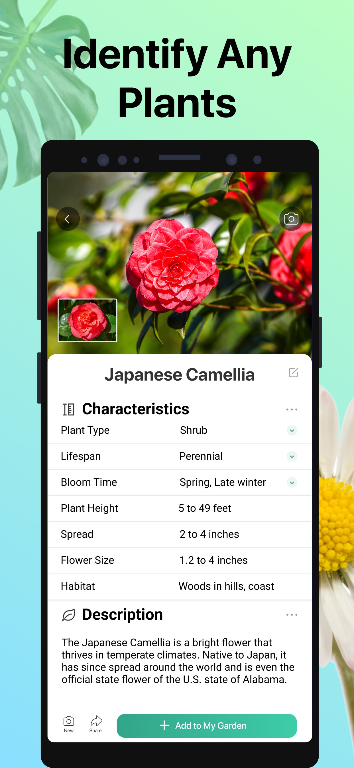 PictureThis - Plant Identifier APK for Android Download