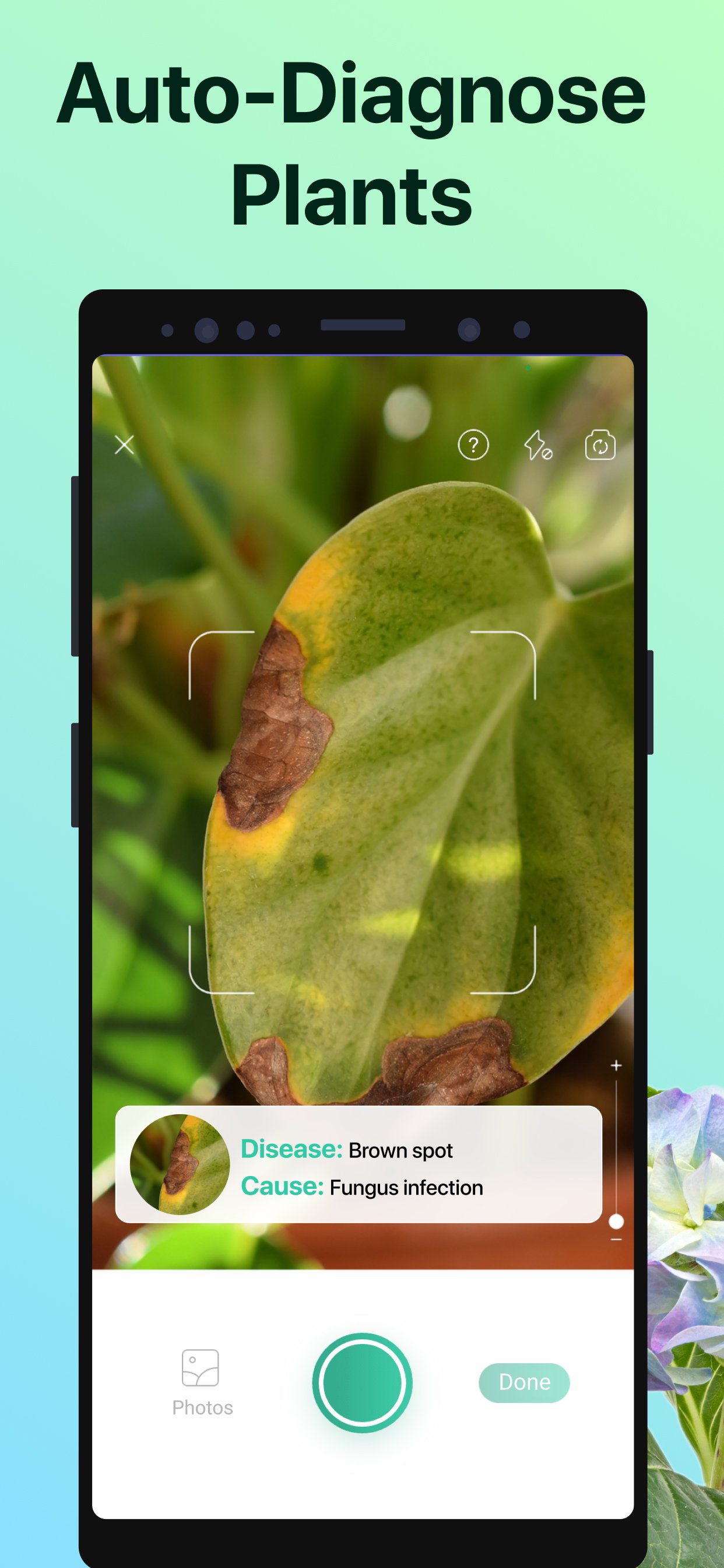 PictureThis - Plant Identifier APK for Android Download