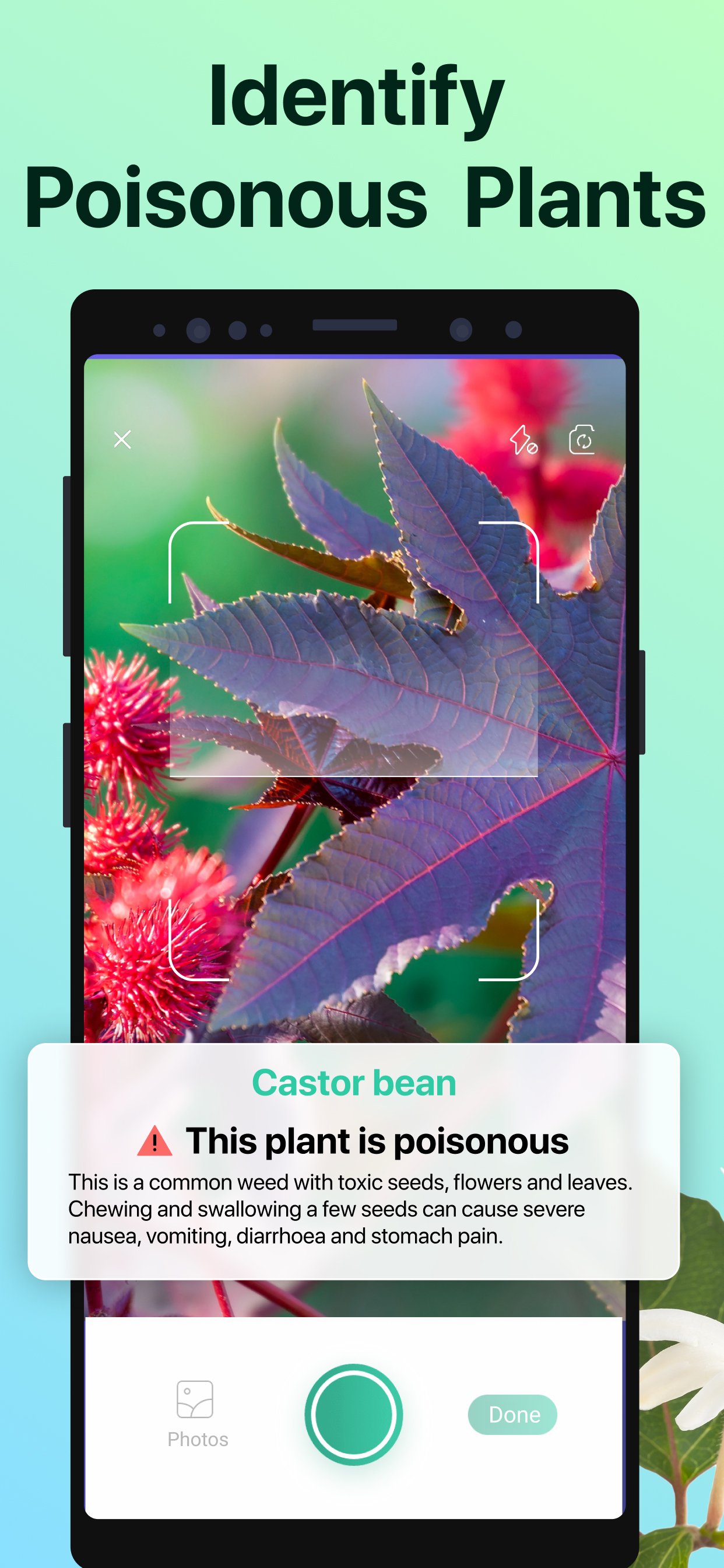 PictureThis - Plant Identifier APK for Android Download