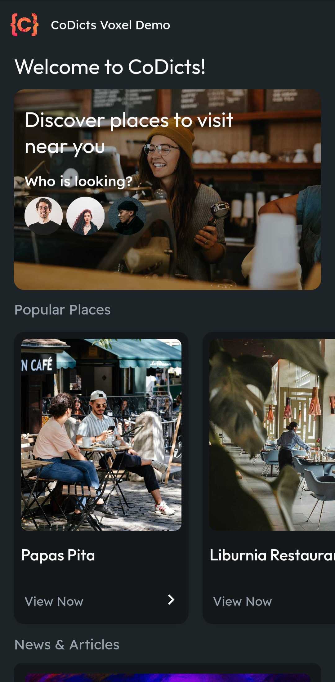 CoDicts Voxel APK for Android Download