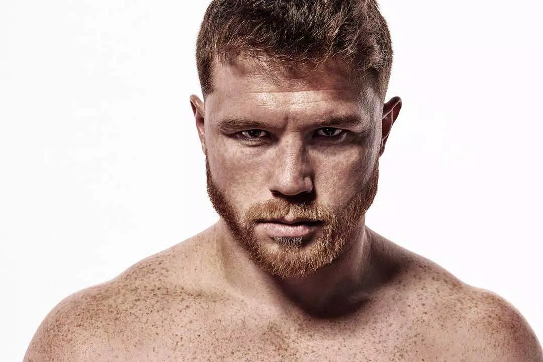 Canelo Wallpaper