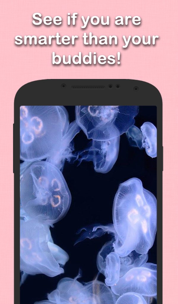 Descargar Vida Marina Trivia APK Última Versión 1.5610 para Android